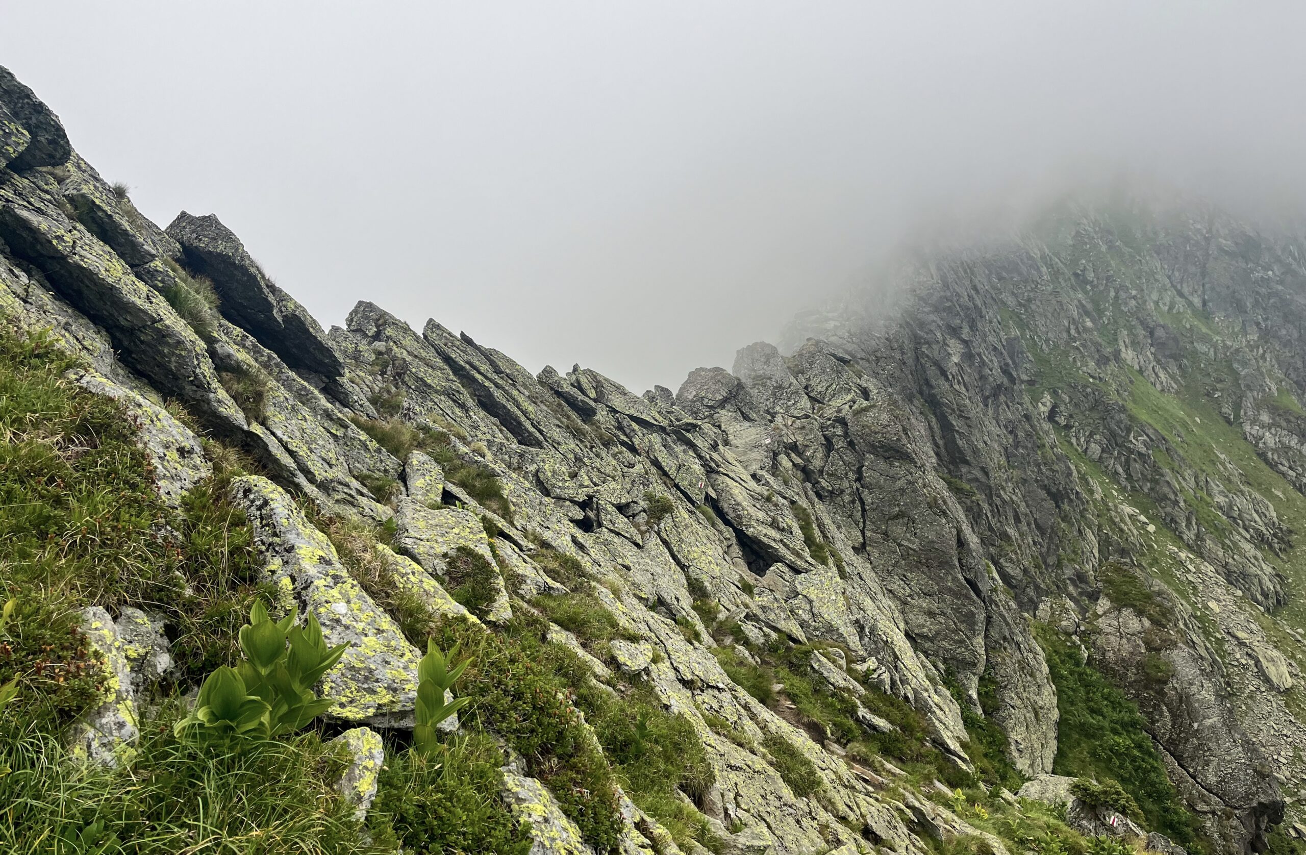 Valea Serbotei si Custura Saratii, Muntii Fagaras - Explore&GIS